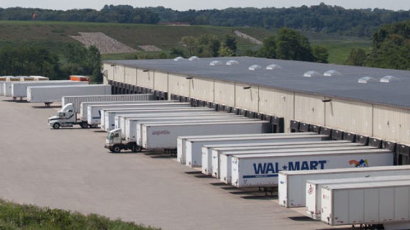 Supply Chain - M. Holland