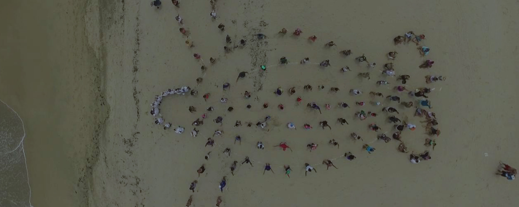 M. Holland Joins Hundreds In Puerto Rico For Beachfront Cleanup